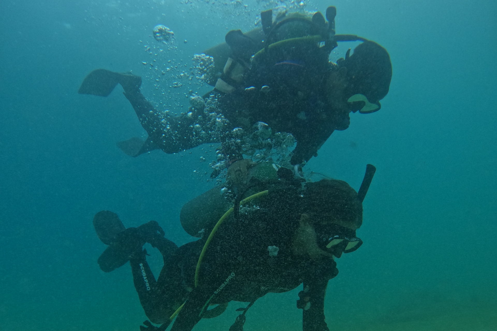 PADI Divemaster Course - GALAPAGOS BLUE EVOLUTION